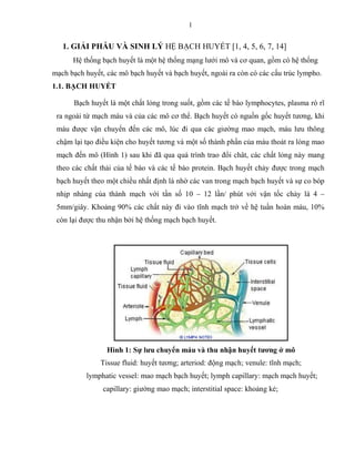 Hach dau-mat-co | PDF