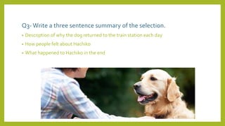 Hachiko-.pptx