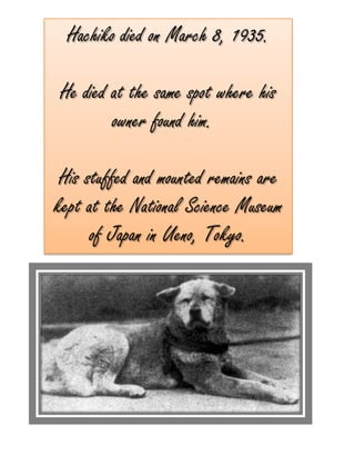 The story of Hachiko by Todd Jacobucci | PDF