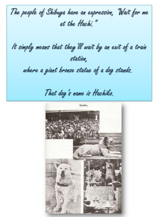 The story of Hachiko by Todd Jacobucci | PDF