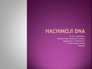 Hachimoj dna | PPT