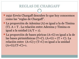 Hacia la forma del adn | PPT