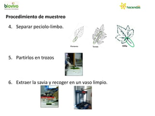 The use of sap analysis to determine the nutritional status of the crop ...