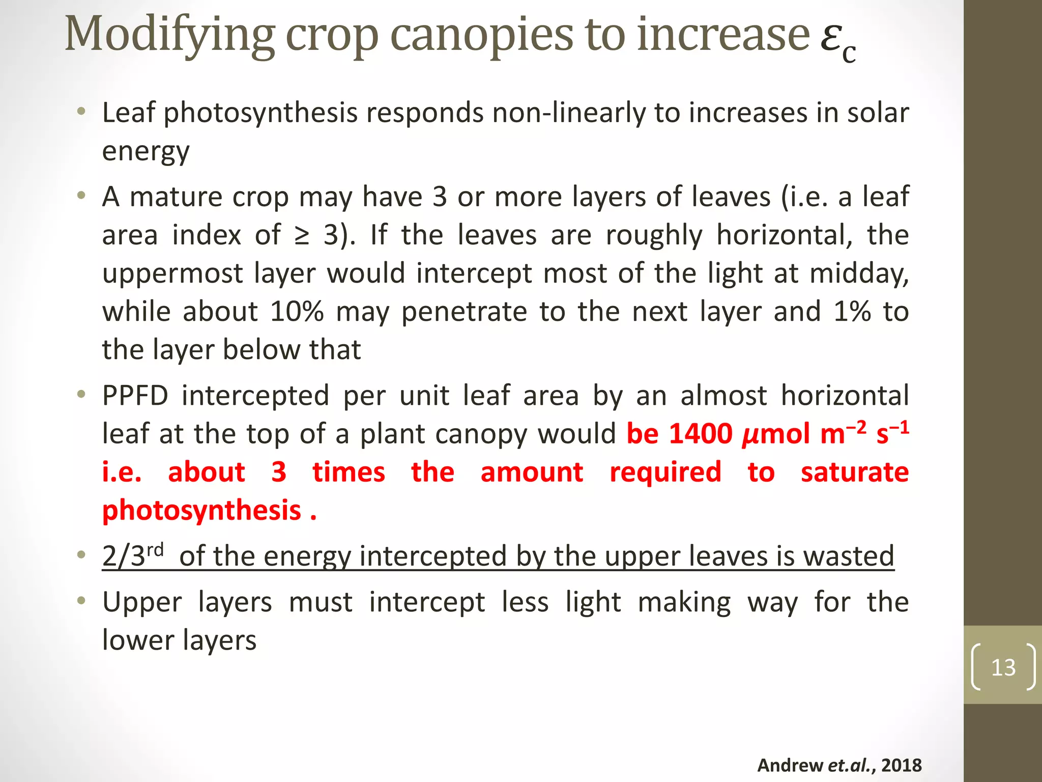 Hacking photosynthesis | PPTX | Agriculture | Industries