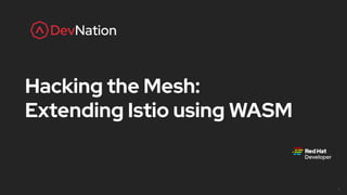 Hacking the Mesh: Extending Istio with WebAssembly Modules | DevNation Tech Talk | PPT