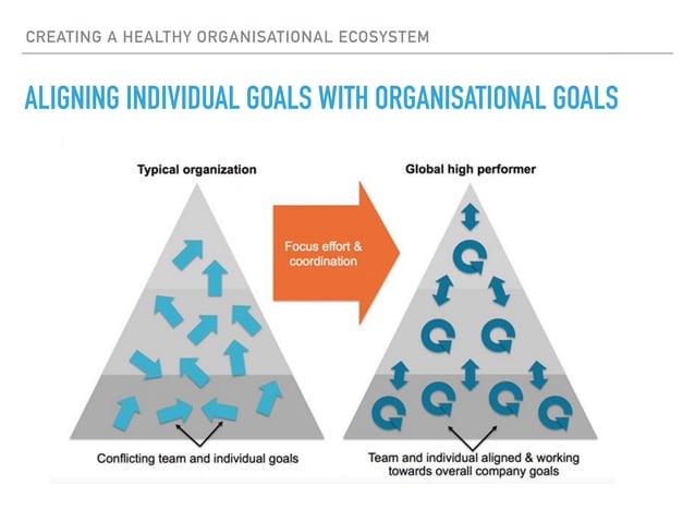 Creating a healthy organisational ecosystem | PPT