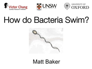 How Do Bacteria Swim? by Matt Baker | PDF