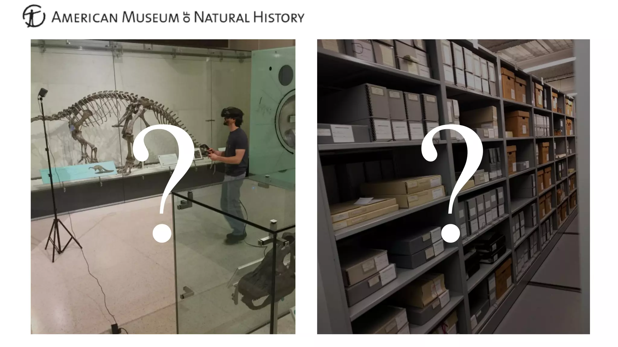 Hack the Stacks, American Museum of Natural History | PPT