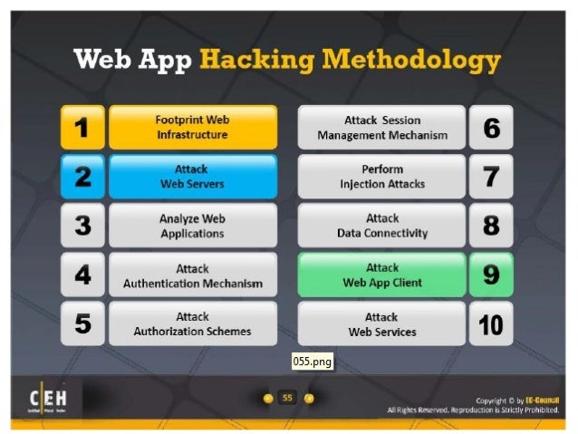Web Application Hacking