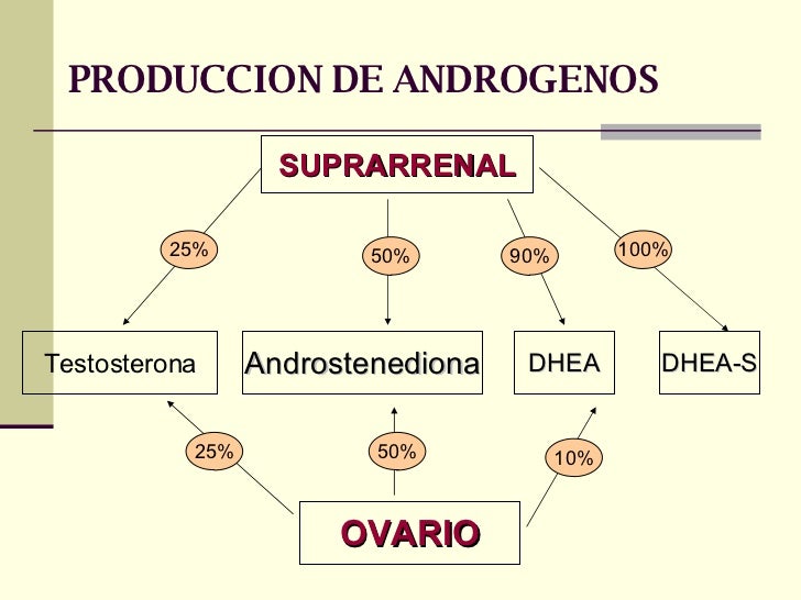 HIRSUTISMO Y VIRILIZACION