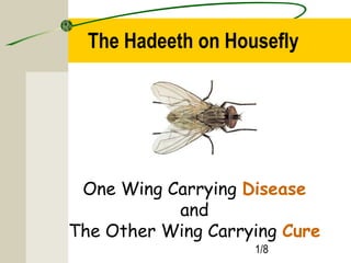 Hadeeth on-housefly | PPT