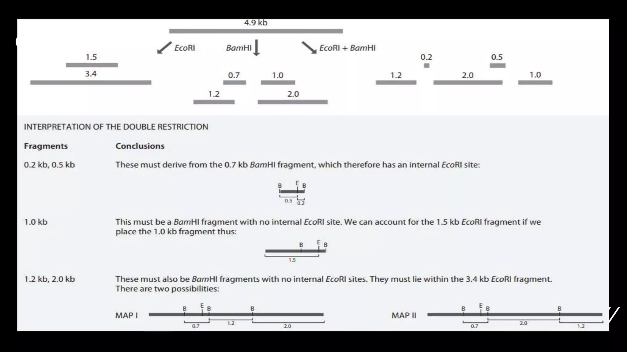 Restriction enzymes and Restricton Mapping | PPTX