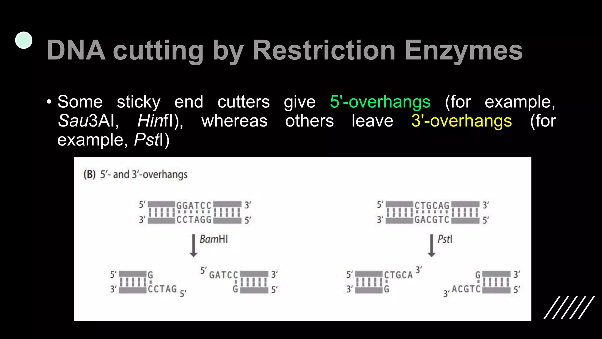 Restriction enzymes and Restricton Mapping | PPTX