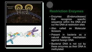 Restriction enzymes and Restricton Mapping | PPTX