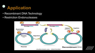 Restriction enzymes and Restricton Mapping | PPTX