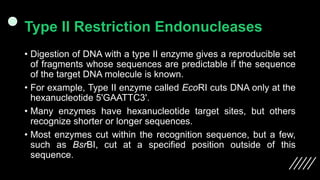 Restriction enzymes and Restricton Mapping | PPTX