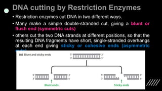 Restriction enzymes and Restricton Mapping | PPTX