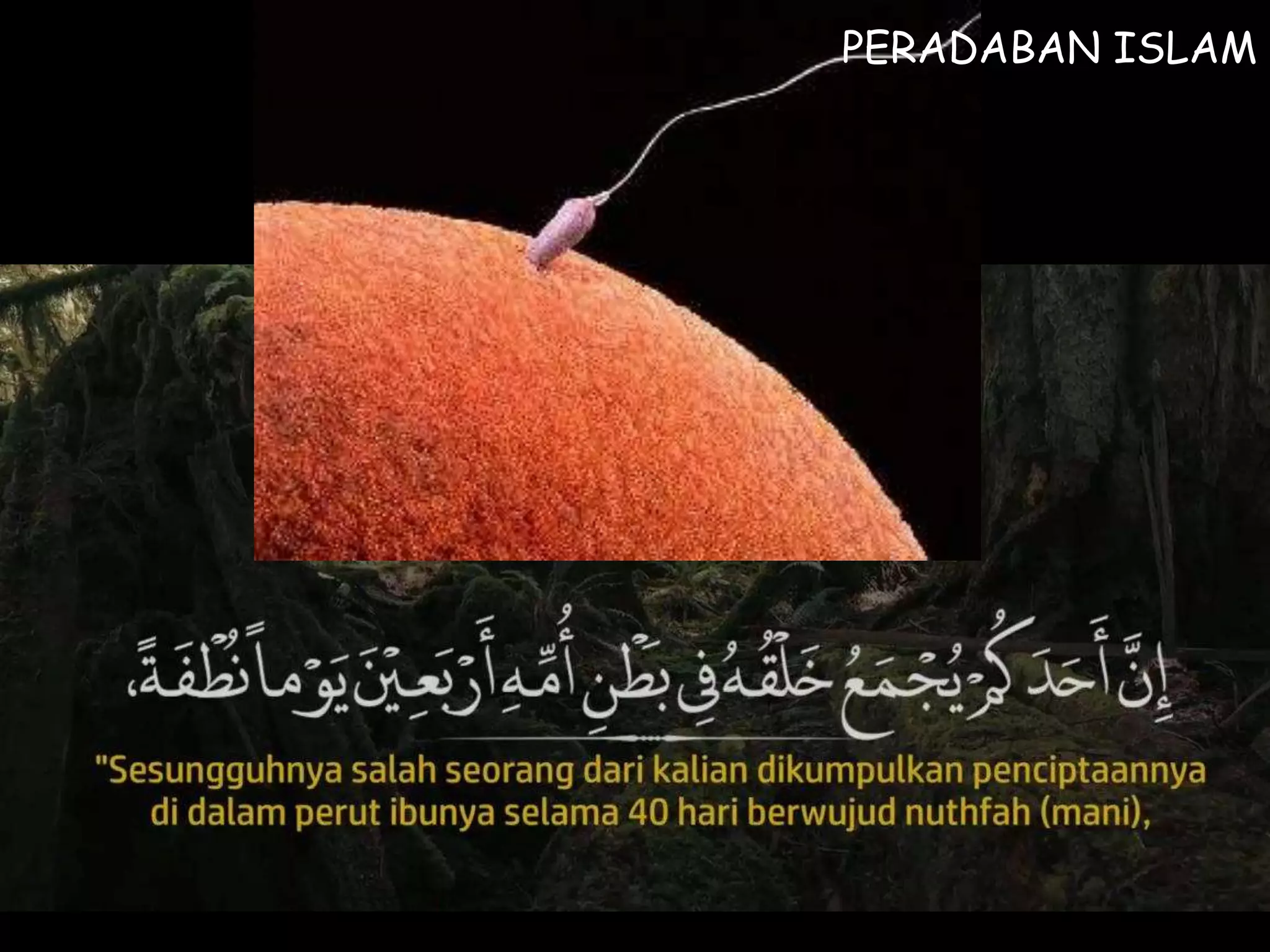 Hadis arbain 4 | PPTX