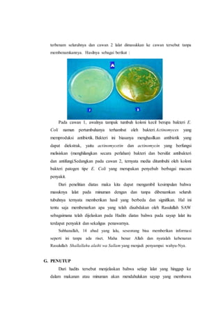 Hadist tentang lalat yang masuk ke dalam air | DOCX