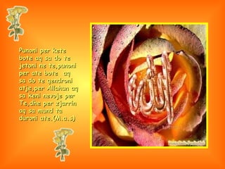 Hadithe te zgjedhura! | PPT