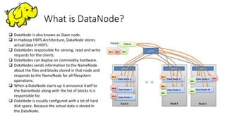 Introduction to Apache Hadoop Eco-System | PPTX