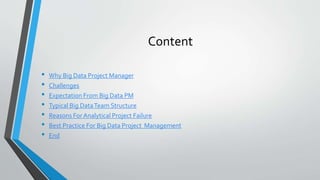 Big Data Project Manager | PPT