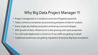 Big Data Project Manager | PPT