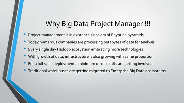 Big Data Project Manager | PPT