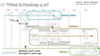 Hadoop 3.0 - Revolution or evolution? | PPT