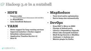 Hadoop 3.0 - Revolution or evolution? | PPT