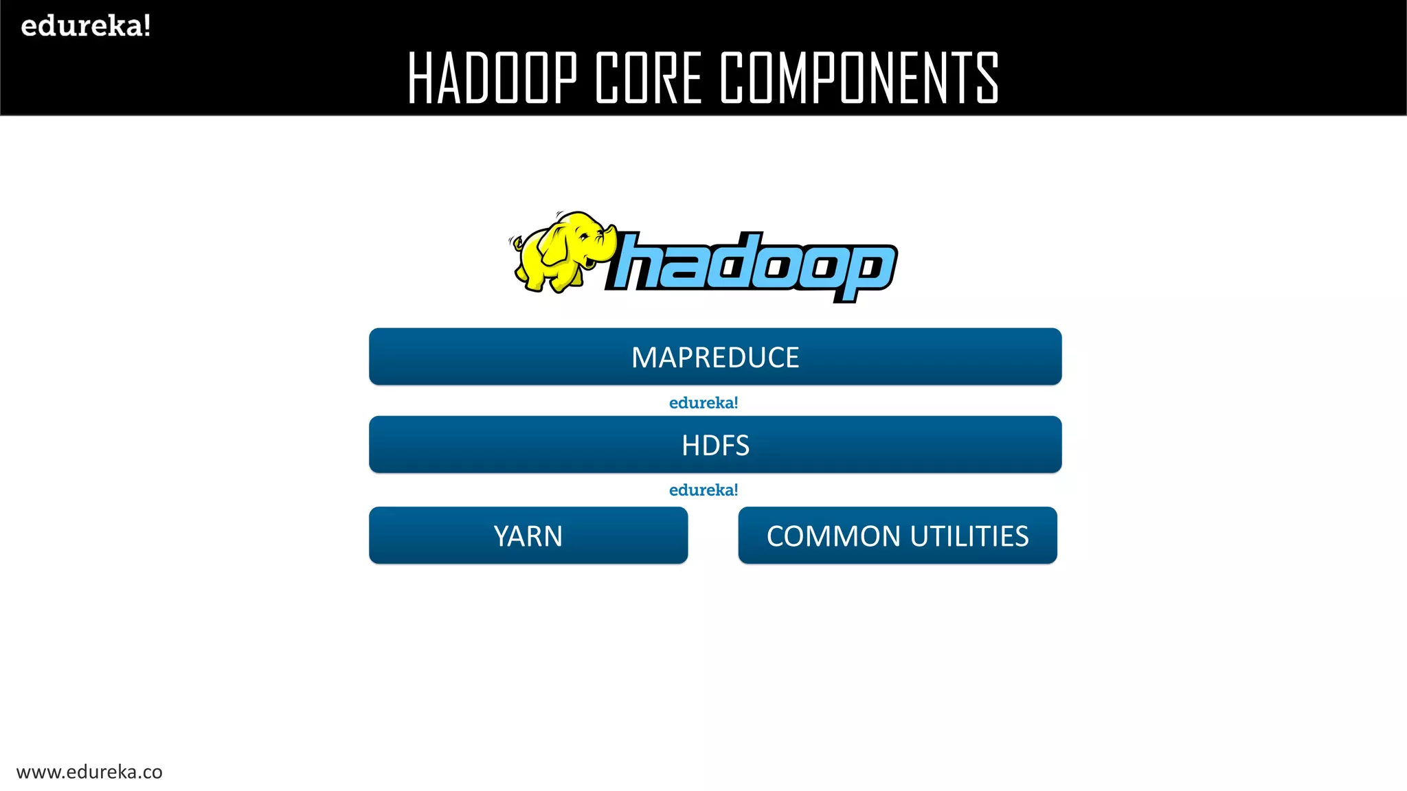 What are Hadoop Components? Hadoop Ecosystem and Architecture | Edureka ...