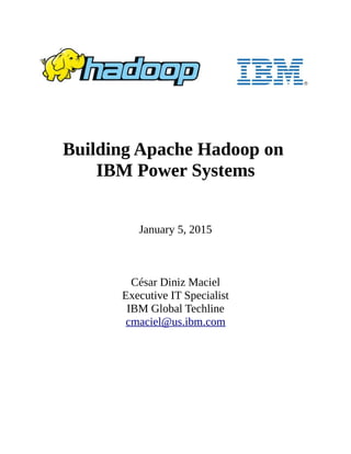 Building Apache Hadoop from source on IBM Power Systems | PDF