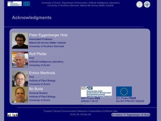 Hadorn Acal 2009 01 | PPTX