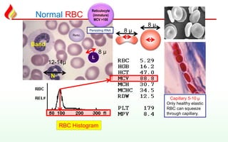 Anemia1-Case Introduction | PPT