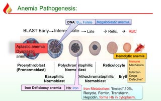 Anemia1-Case Introduction | PPT