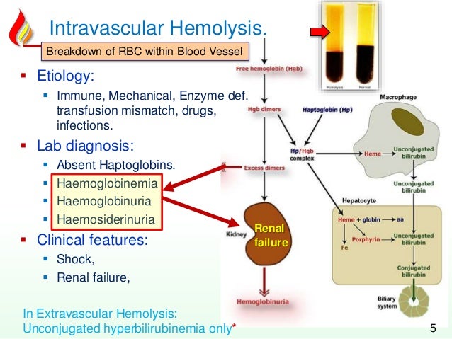 Haem13 hemolytic anemia - acquired