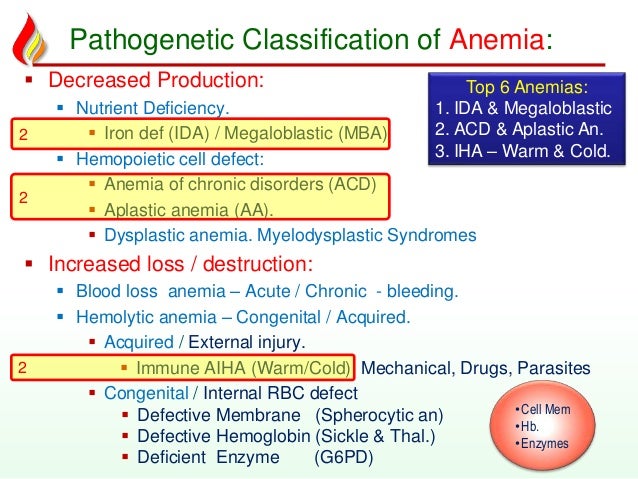 Haem15 - Anemia conclusions & Polycythemia