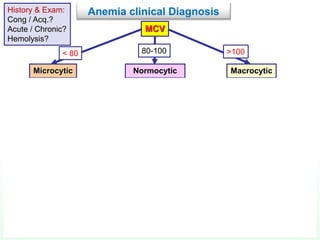 Anemia5 anemias minor | PPT