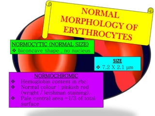 normal and abnormalities in red blood cell | PPTX