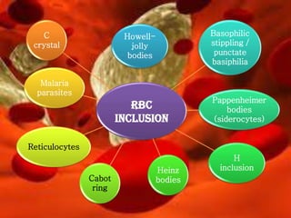 normal and abnormalities in red blood cell | PPTX