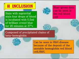 normal and abnormalities in red blood cell | PPTX