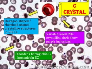 normal and abnormalities in red blood cell | PPTX