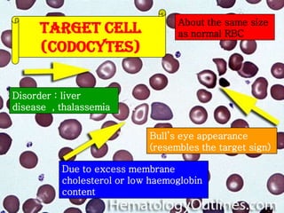 normal and abnormalities in red blood cell | PPTX