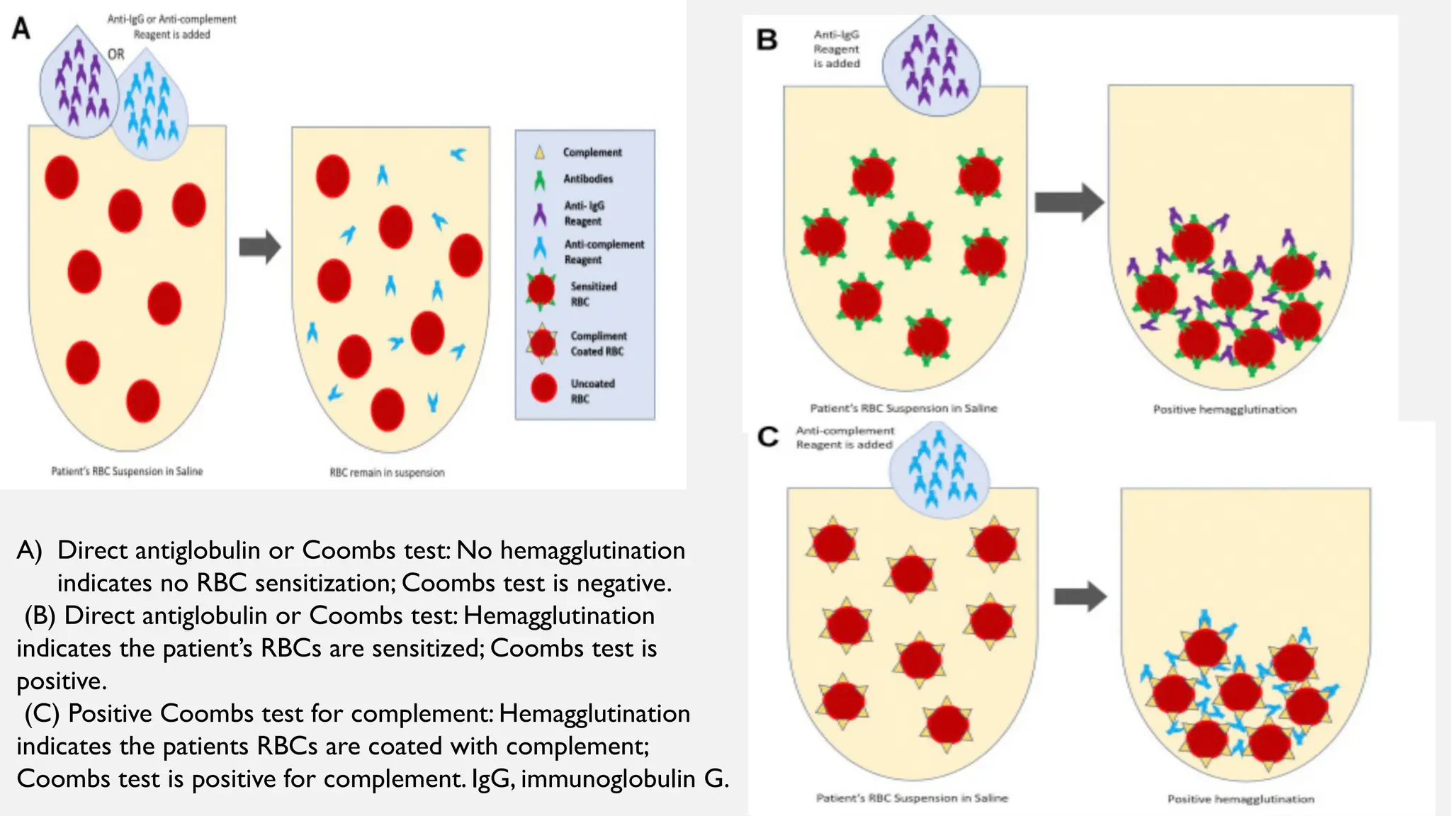 Haemagglutination[HA] and Hemagglutination inhibition[.pptx