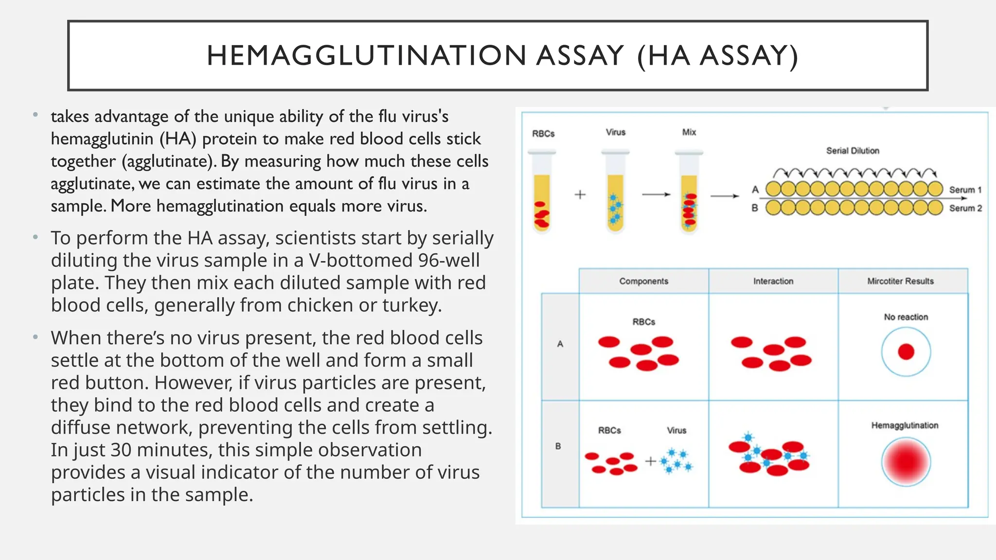 Haemagglutination[HA] and Hemagglutination inhibition[.pptx