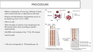 Haemagglutination[HA] and Hemagglutination inhibition[.pptx