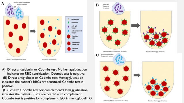 Haemagglutination[HA] and Hemagglutination inhibition[.pptx