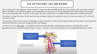 Haemagglutination[HA] and Hemagglutination inhibition[.pptx