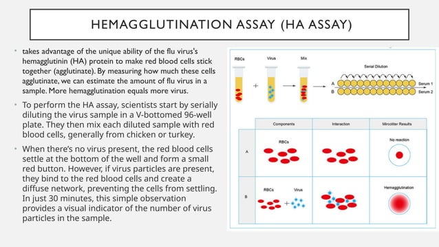 Haemagglutination[HA] and Hemagglutination inhibition[.pptx
