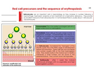Haematinics | PDF